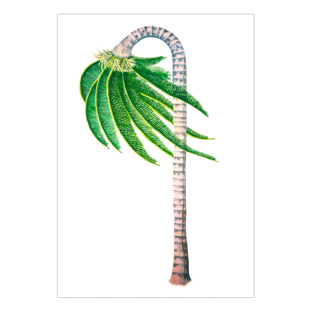 Palm Frown by Sofia Arreguin — Exhibition A